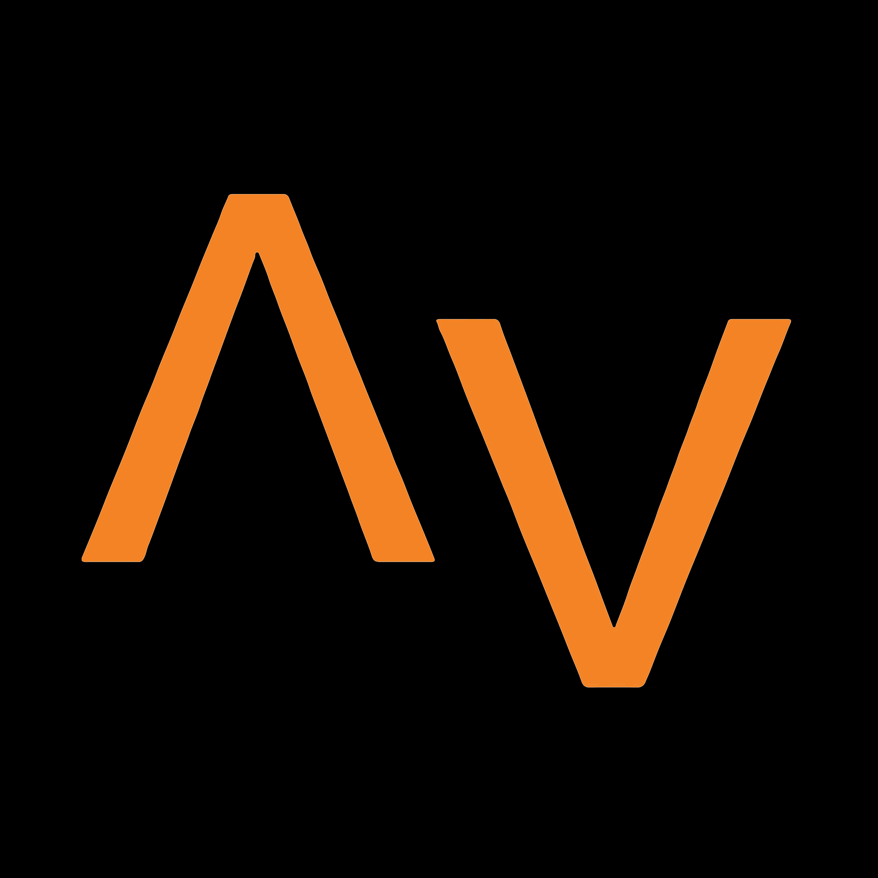 AVNT - Your Ultimate Fashion Source
