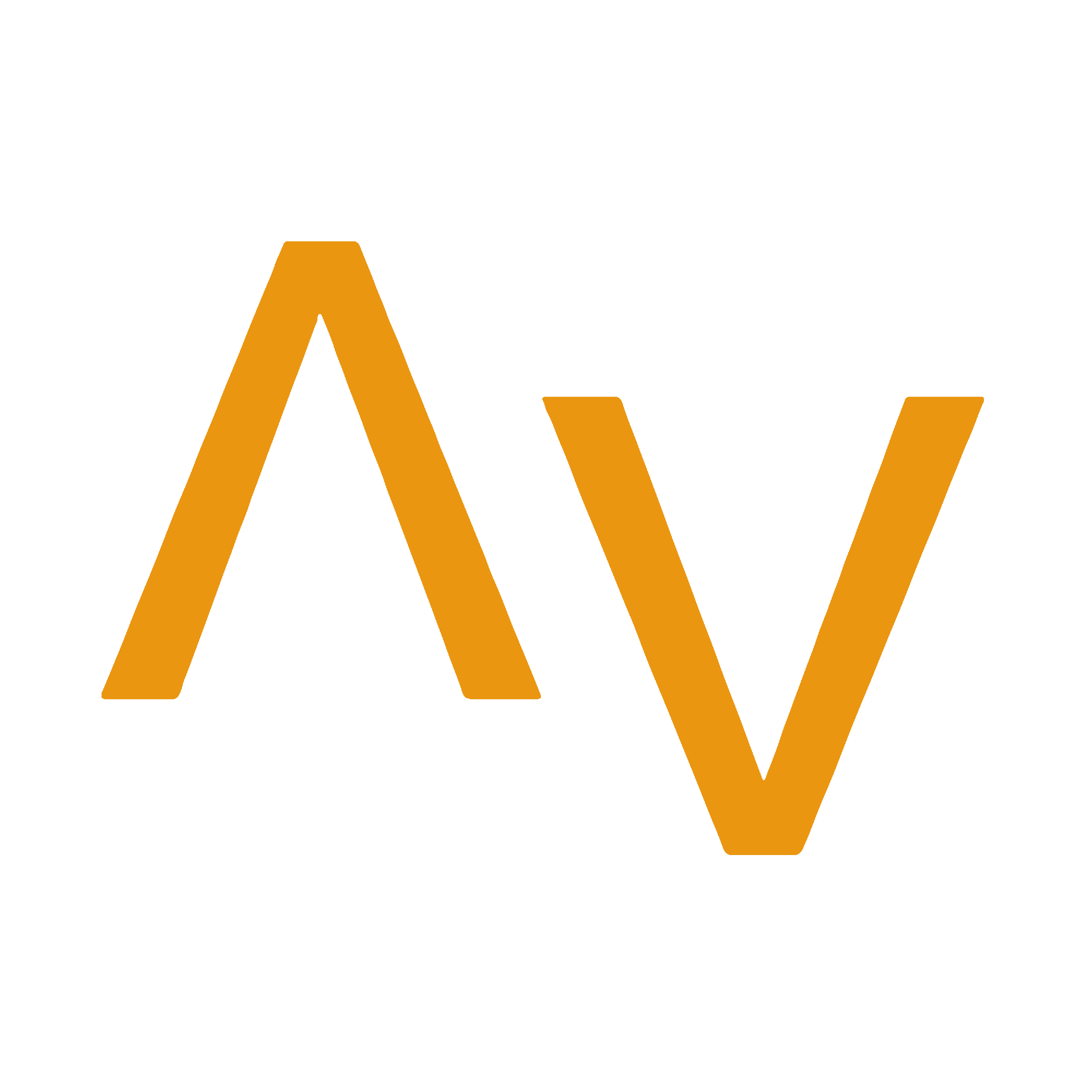AVNT - Your Ultimate Fashion Source